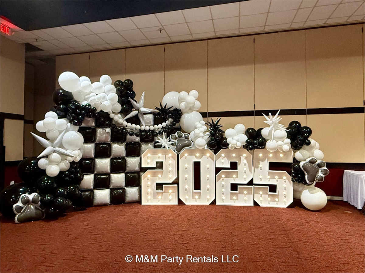 Balloon Setup with Marquee and Throne Chair - Full Setup - Party ...